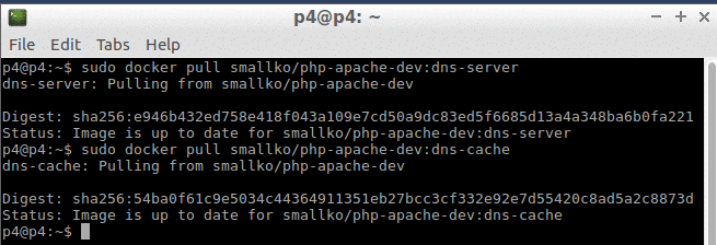 Beforeyou run the mininet script, you need to download thedocker image ... Beforeyou run the mininet script, you need to download thedocker image ...