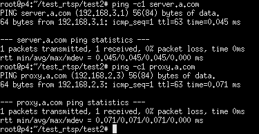 Start rtsp -simple-server